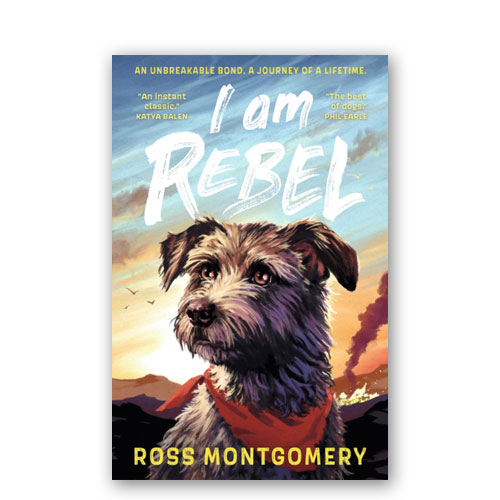 Owlbooks.dk – Whoooo doesn't like a good book?