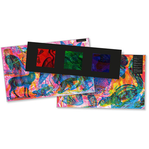 Illuminature : Discover 180 Animals with your Magic Three Colour Lens ...