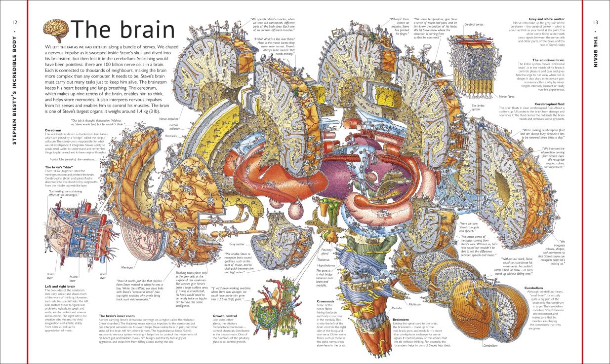 Stephen Biesty’s Incredible Body Cross-Sections – Owlbooks.dk