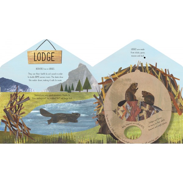 Animal Homes : A lift-the-flap book of discovery – Owlbooks.dk